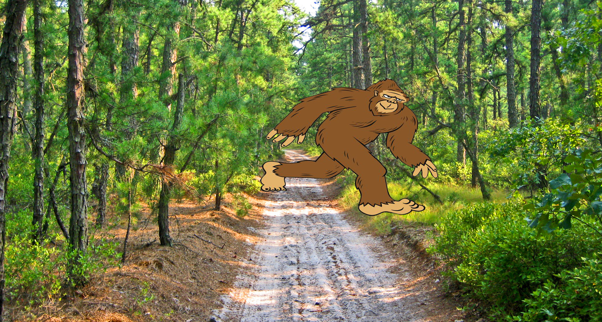 bigfoot sighting